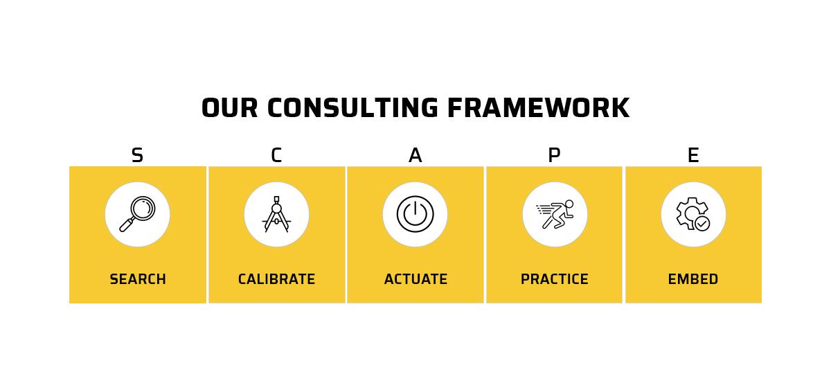 Organizational Capability Building for Business Impact | Growth Sqapes