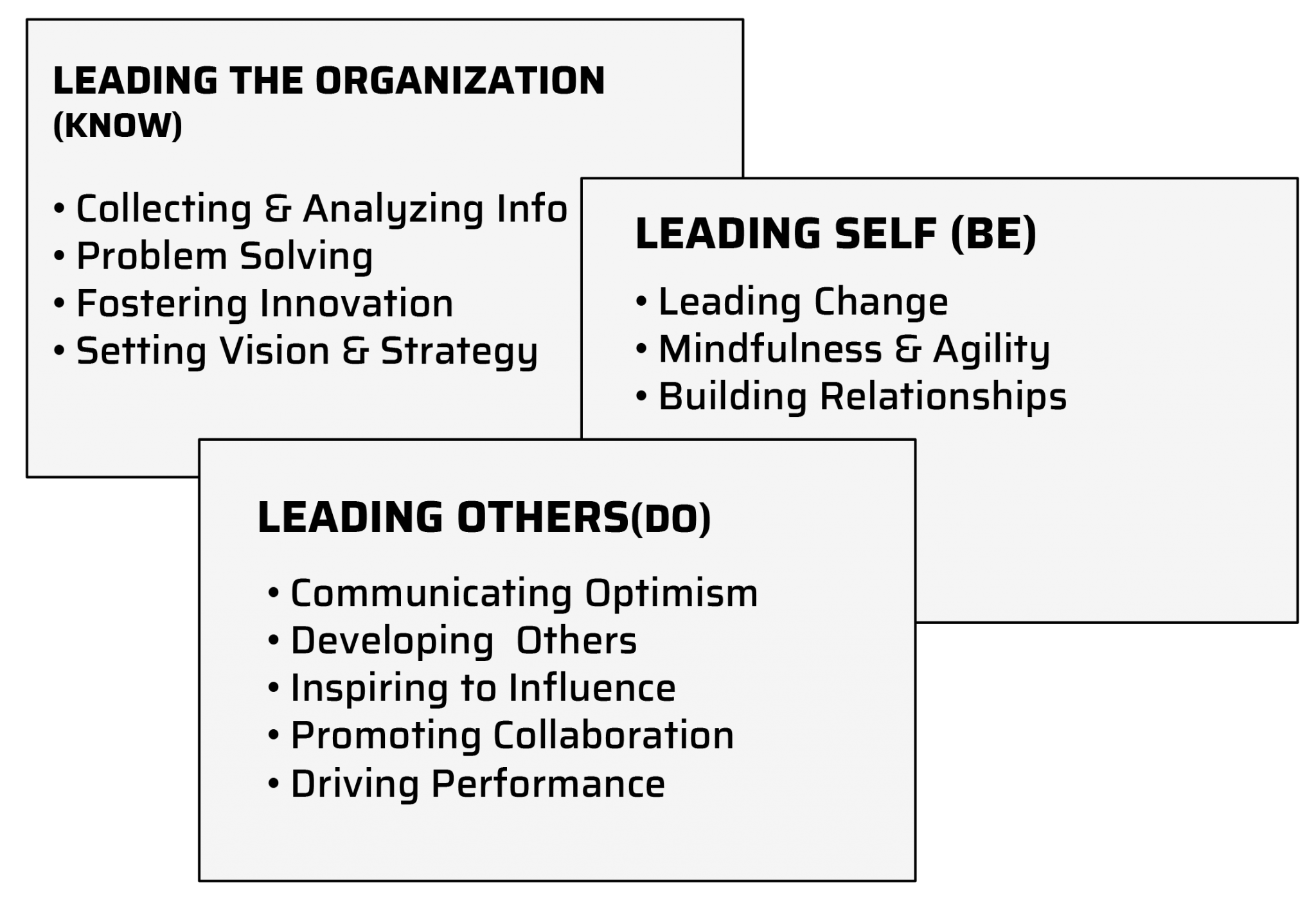 Organization-level Leadership Development Solutions - GrowthSqapes